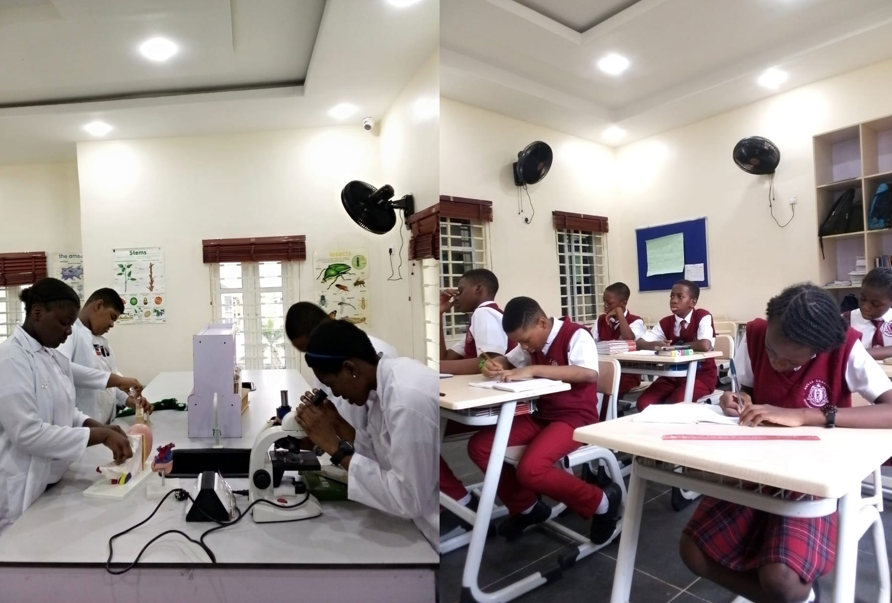 Royal Oxbridge International School – Royal Oxbridge