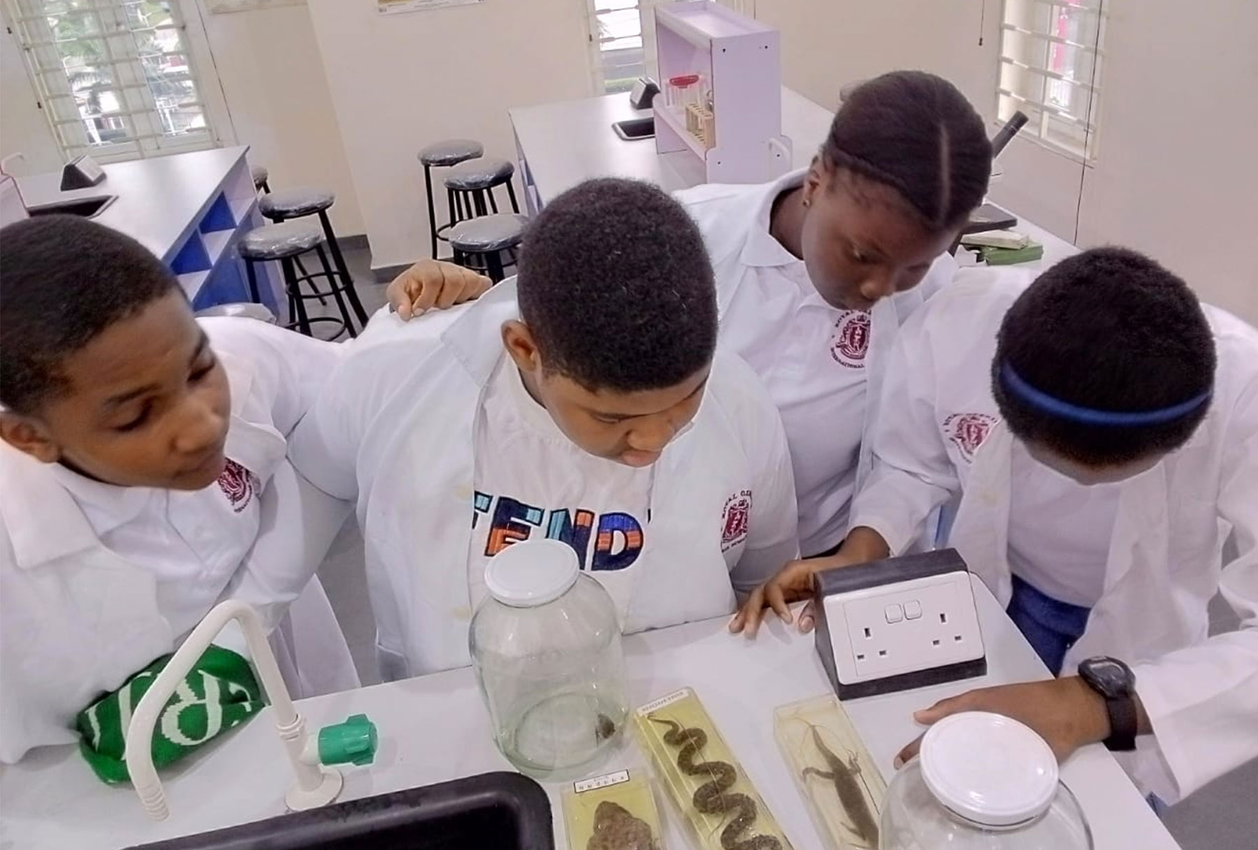 Royal Oxbridge International School – Royal Oxbridge